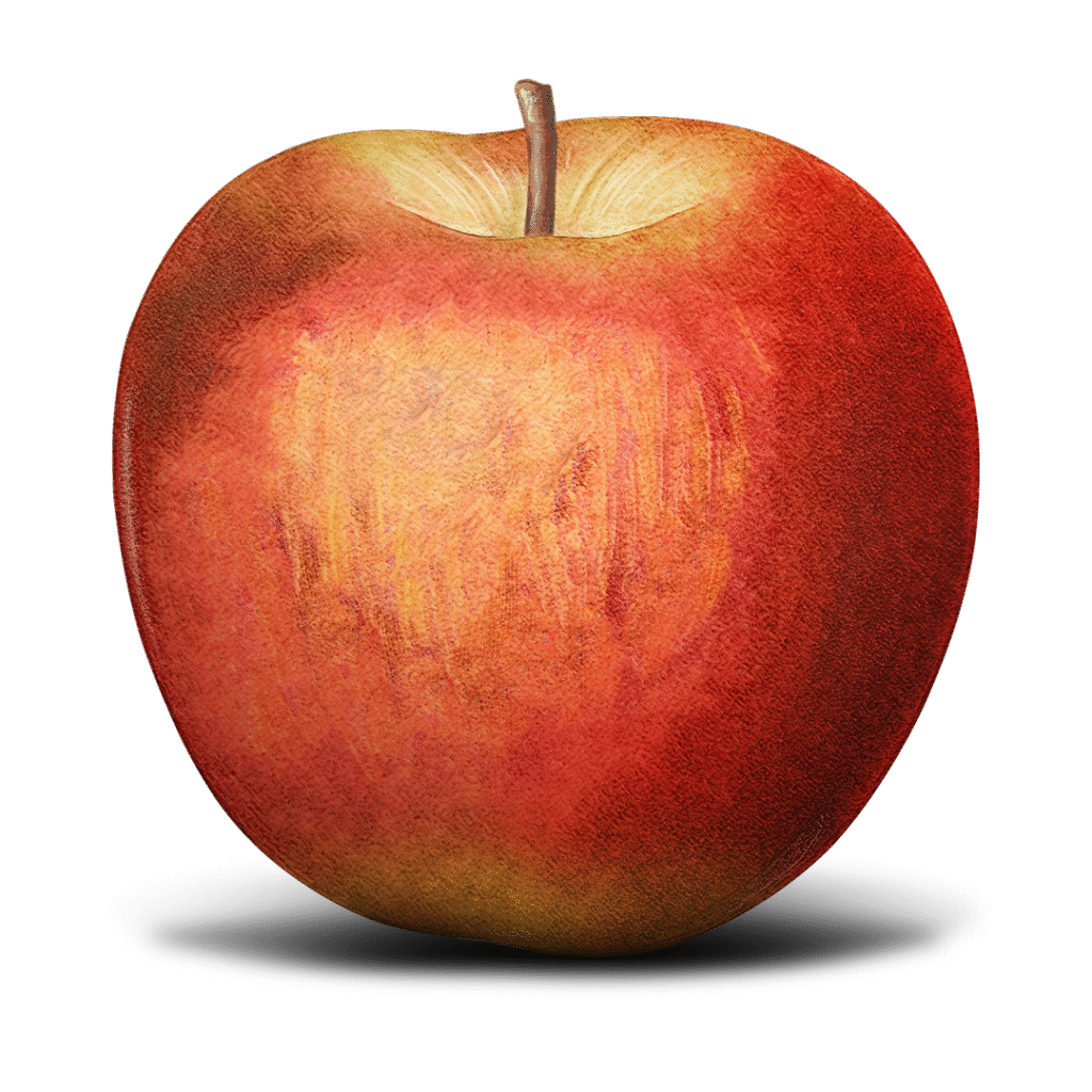 Offering 40 Apple Varieties